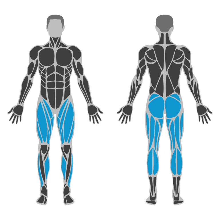Wat is je romp en waarom is het belangrijk om deze te trainen?