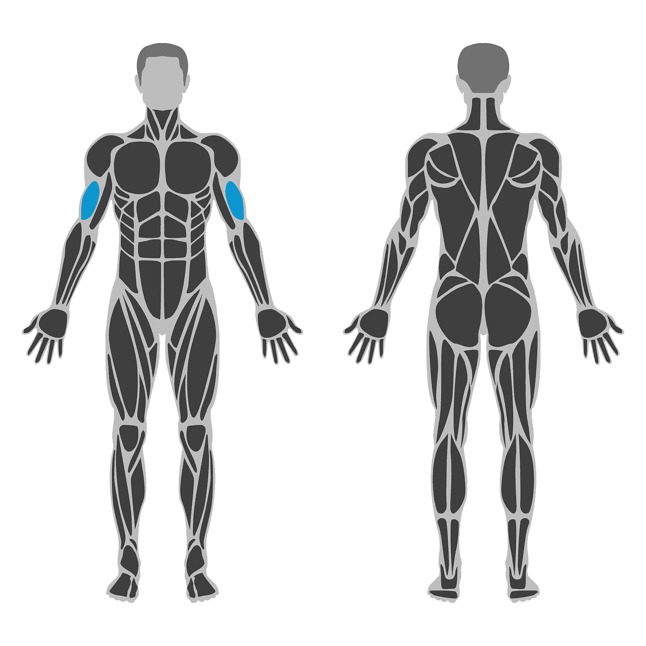 Armen Trainen | Krachtige Technieken voor Sterke Spieren